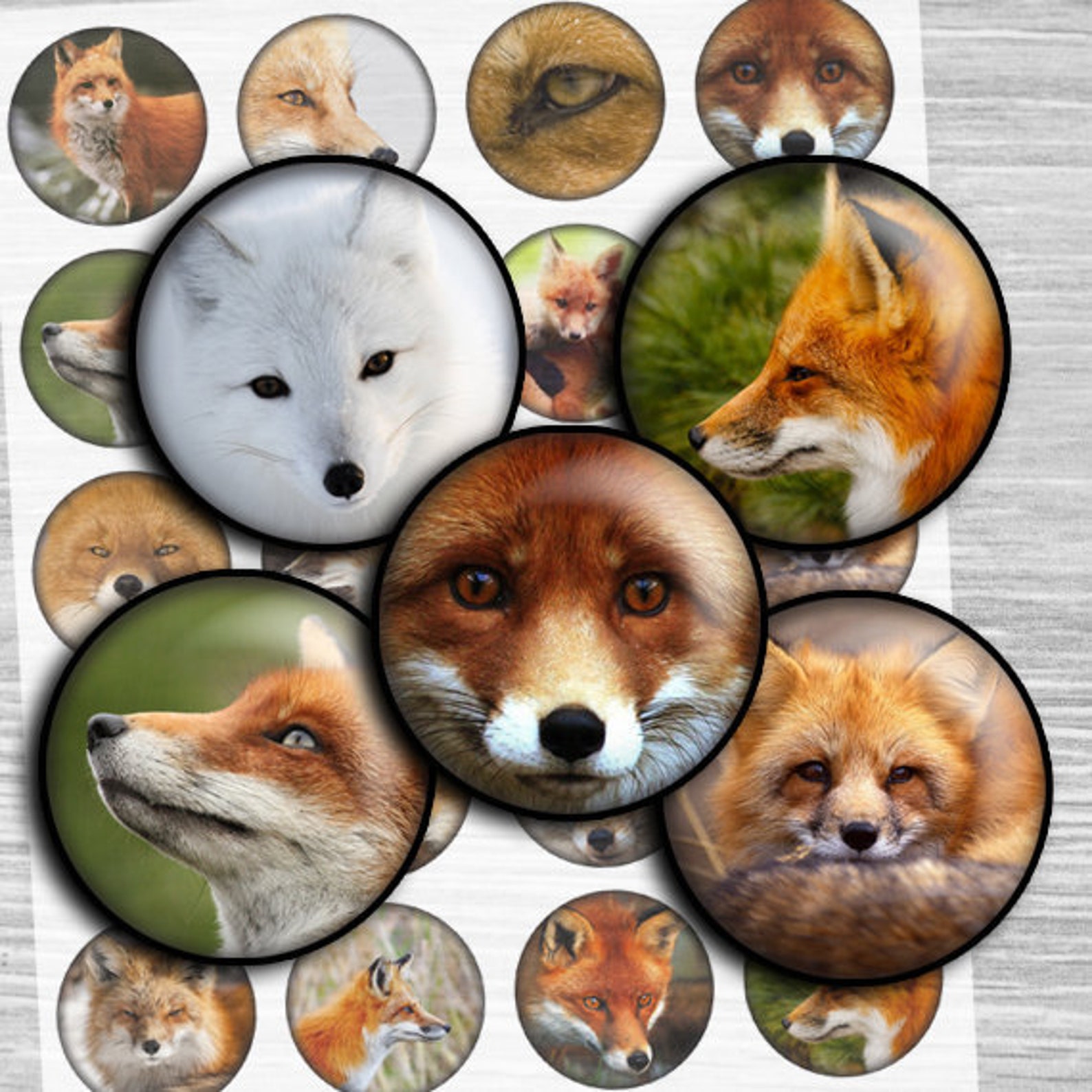 Fox Digital Collage Sheet Printable Download Td245 - Etsy Australia