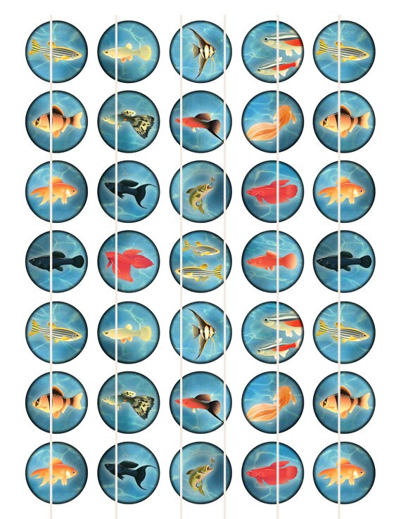 Fish Images Fishing Digital Collage Sheet Circles 1 inch | Etsy