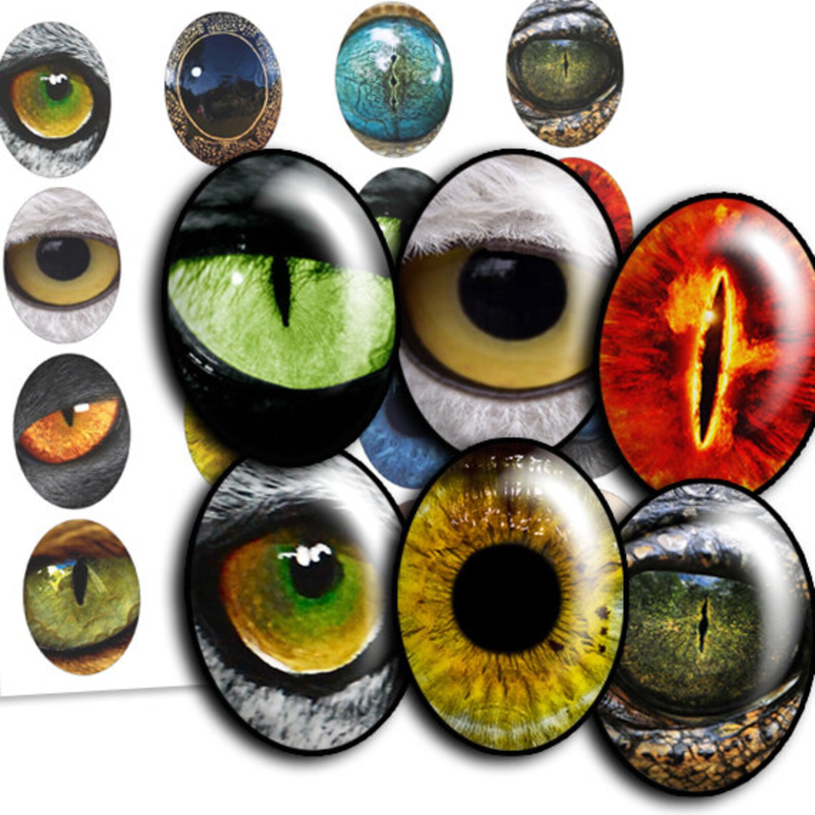 Eyes of Wild Animals Digital Collage Sheet Printable 30 X 40mm | Etsy