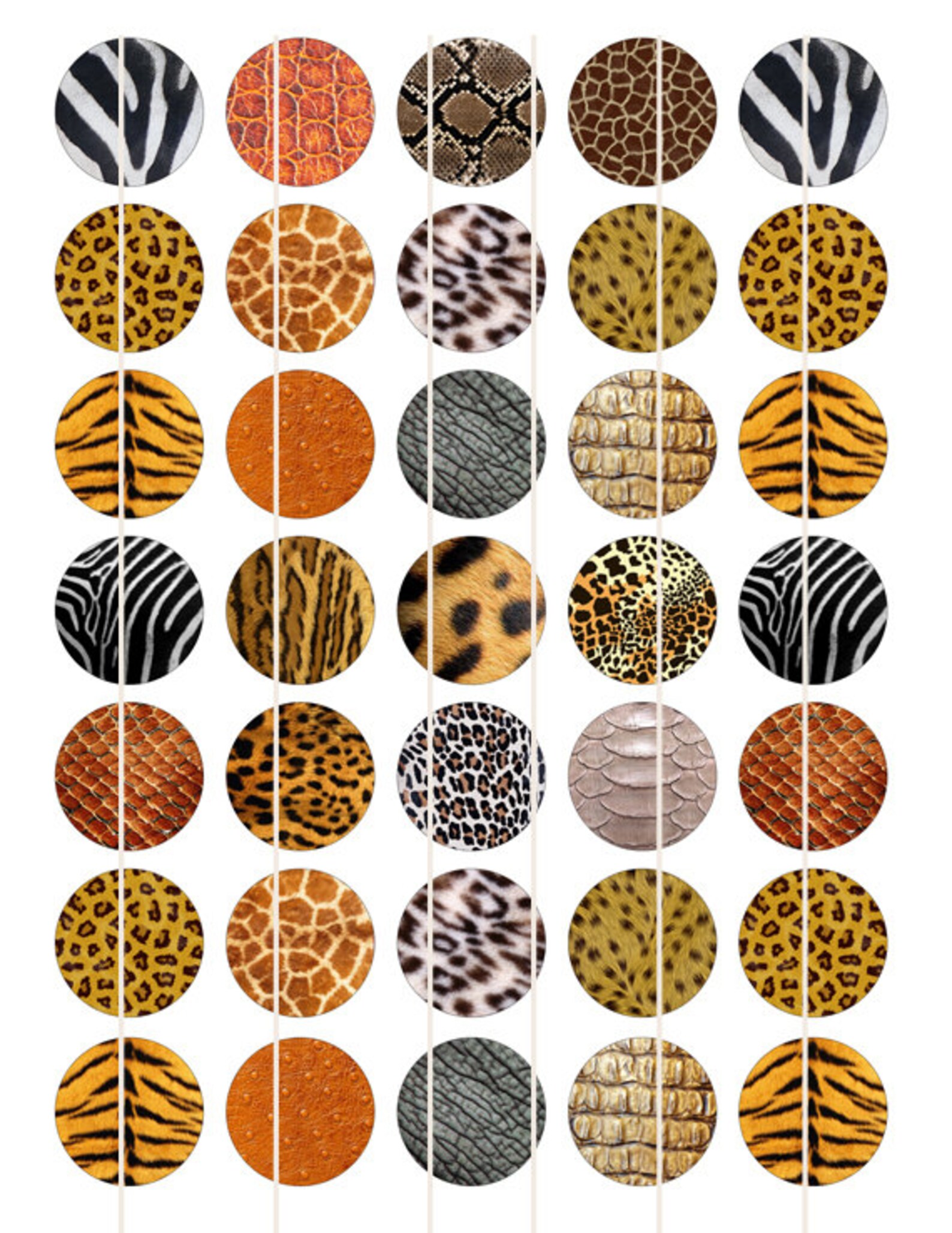 Animal Skins Animal Pattern Round Graphics Td182 - Etsy
