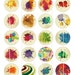 Circles Watercolor Stains Round Images Digital Collage Sheet Td403 1.5 ...