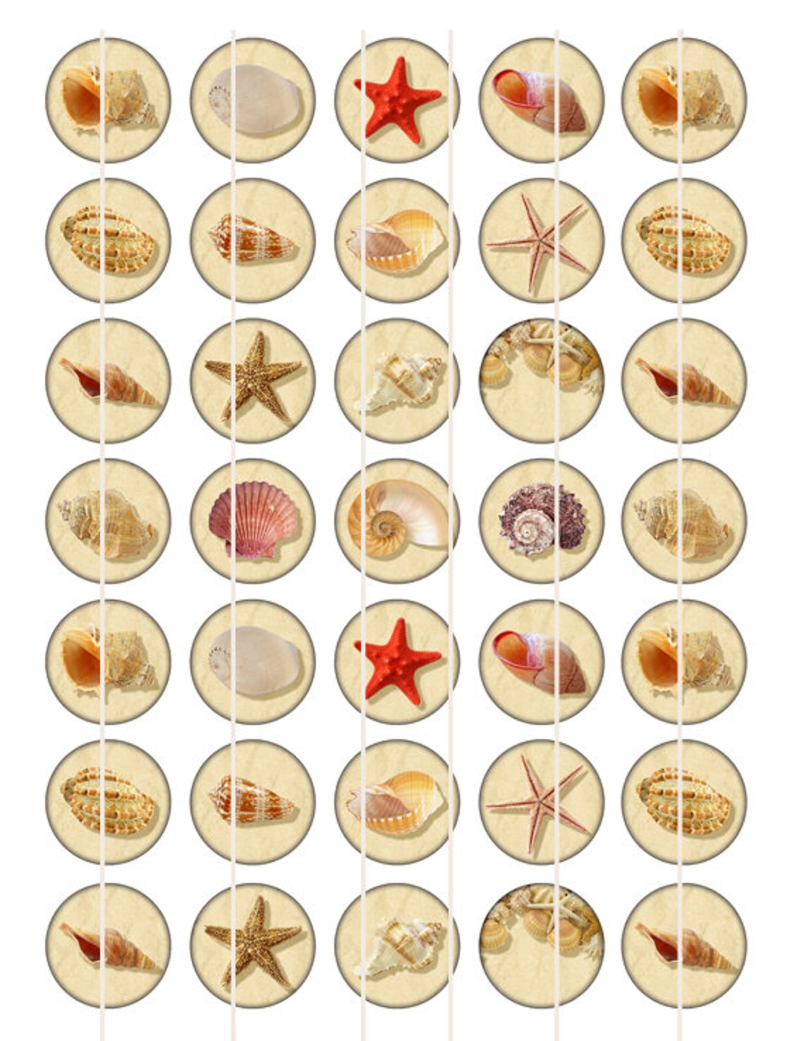 Shells Images Circle Marine Theme Instant Download Digital - Etsy