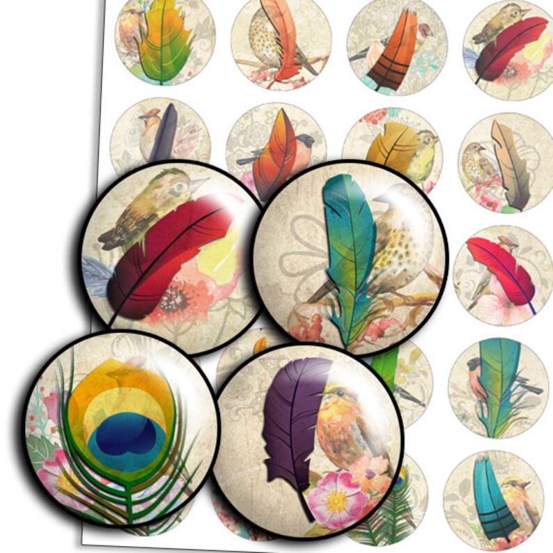 Birds Feathers Peacock Digital Collage Sheet Images 1.5", 1.25", 30mm ...