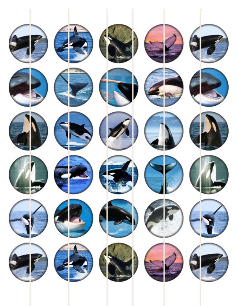 Whale Collage Sheet: Circle Images for Bottle Caps (digital Download ...