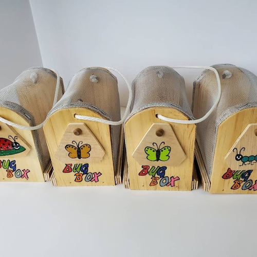 Bug Box/insect Box - Etsy
