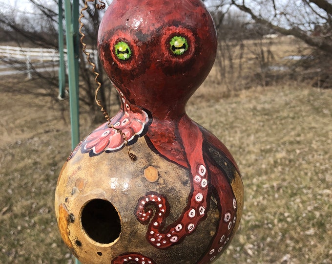 Octopus Bird House Gourd, Hand Painted - Etsy