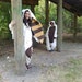 FULL FLUFF Faux Fur Sky Bison Cosplay Inspired Kigurumi Air - Etsy