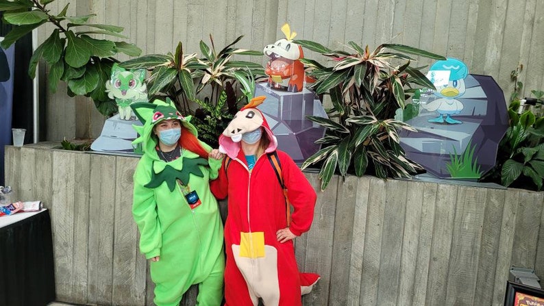 Grass Cat Sprig Inspired Cosplay ADULT Kigurumi Onesie Plush - Etsy