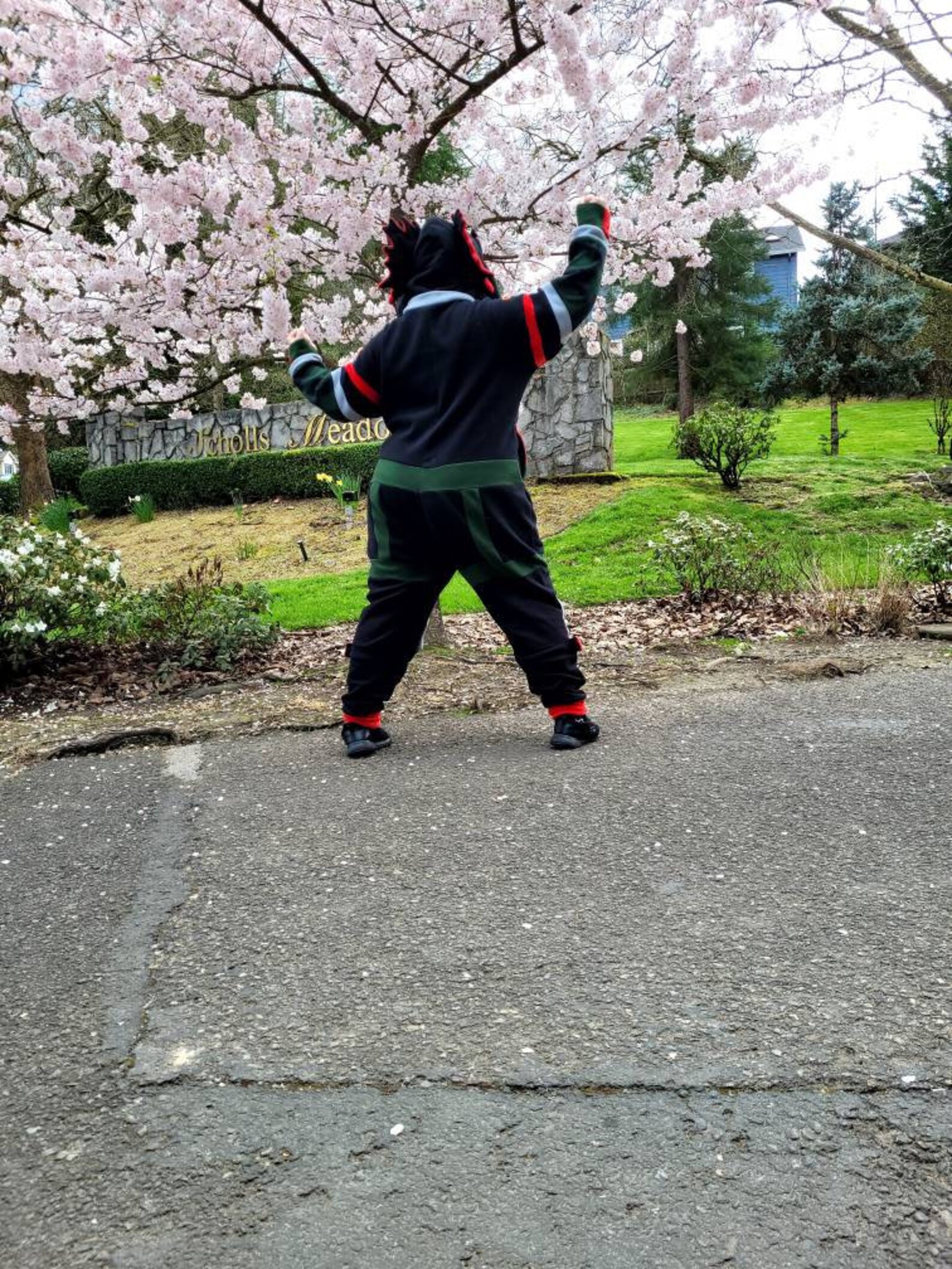 Explosive Hero Inspired Cosplay ADULT Kigurumi Onesie My - Etsy