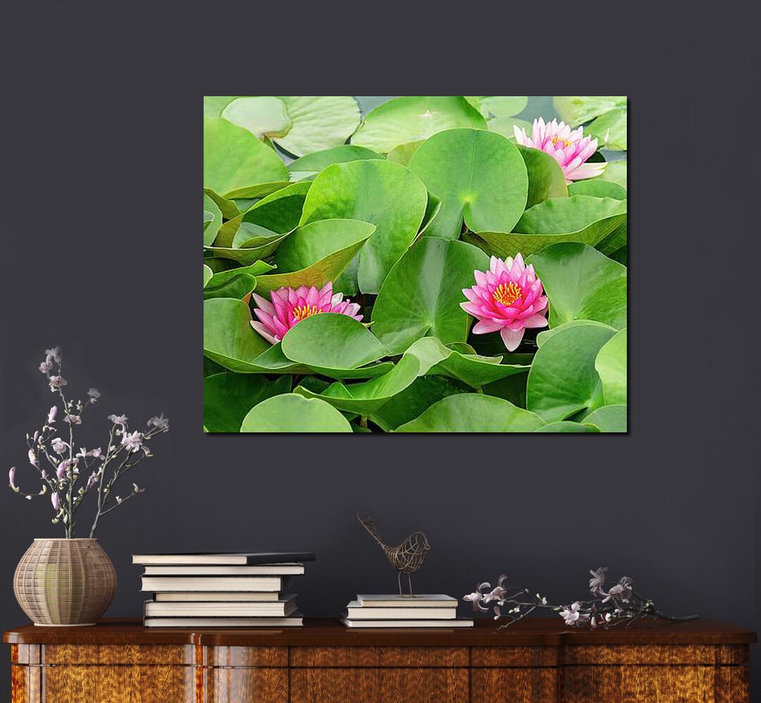 Pink Water Lilies Art Print, Floral Wall Art, Nature Art Print, Large ...