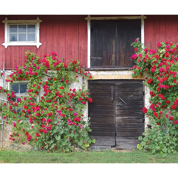 Old Barn Door - Etsy