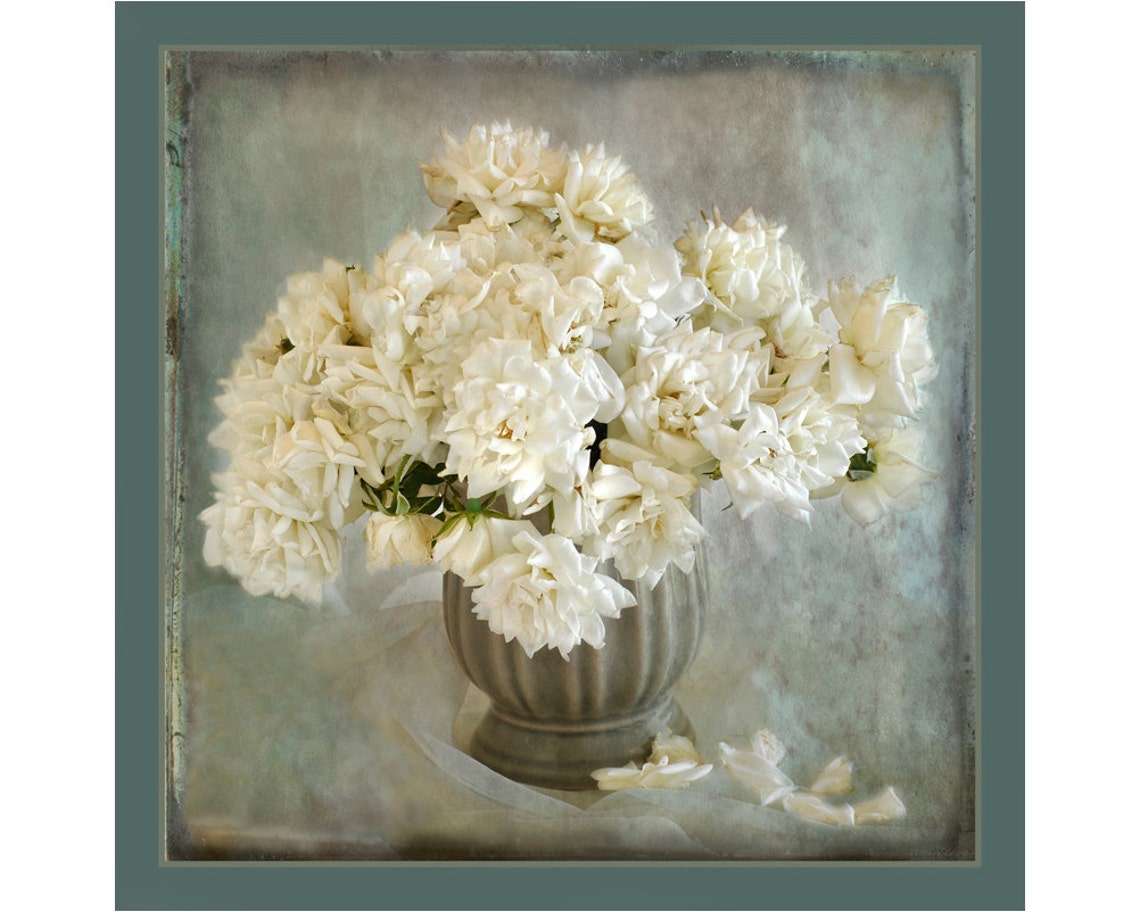 White Roses Shabby Chic Floral Art Print Home Decor Floral - Etsy