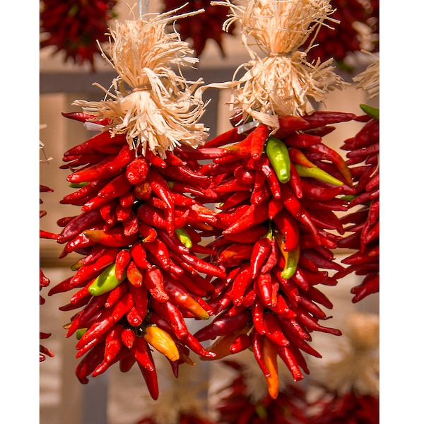 Chili Ristras - Etsy