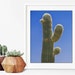 Cactus Art Print, Southwestern Decor, Saguaro Cactus Art Print, Desert ...