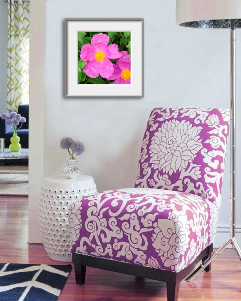 Pink Flower Print, Floral Art, Shabby Chic,wild Rose Floral Wall Art ...