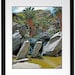 Desert Oasis Print, Palm Springs Oasis With Palm Trees, California ...
