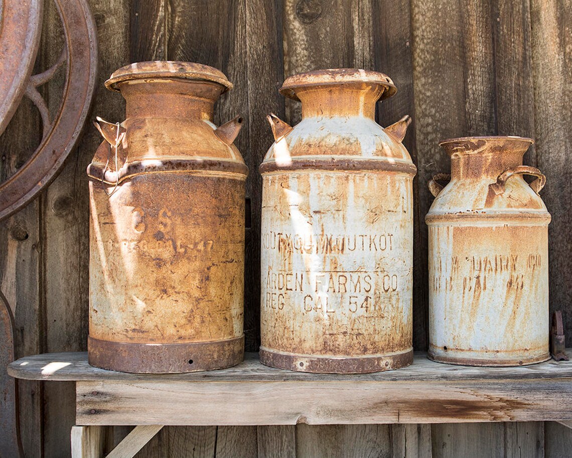 Milk Can Decor, Rustic Kitchen Wall Art, Old Milk Can Photo, Country ...