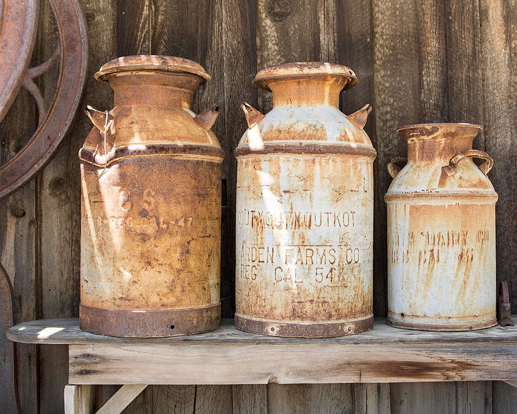 Milk Can Decor, Rustic Kitchen Wall Art, Old Milk Can Photo, Country ...