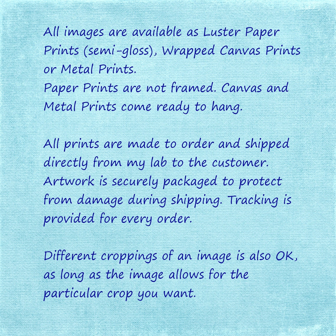 Shell Photography Minimalist Art Nature Art Print Shell Art | Etsy