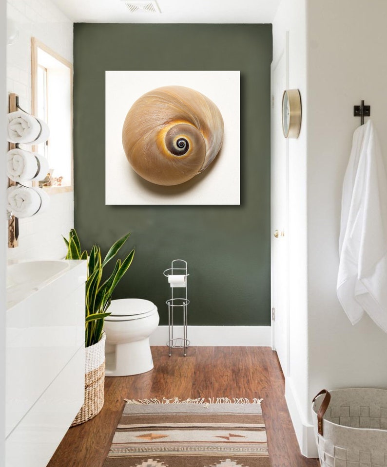 Shell Photography Minimalist Art Nature Art Print Shell Art - Etsy