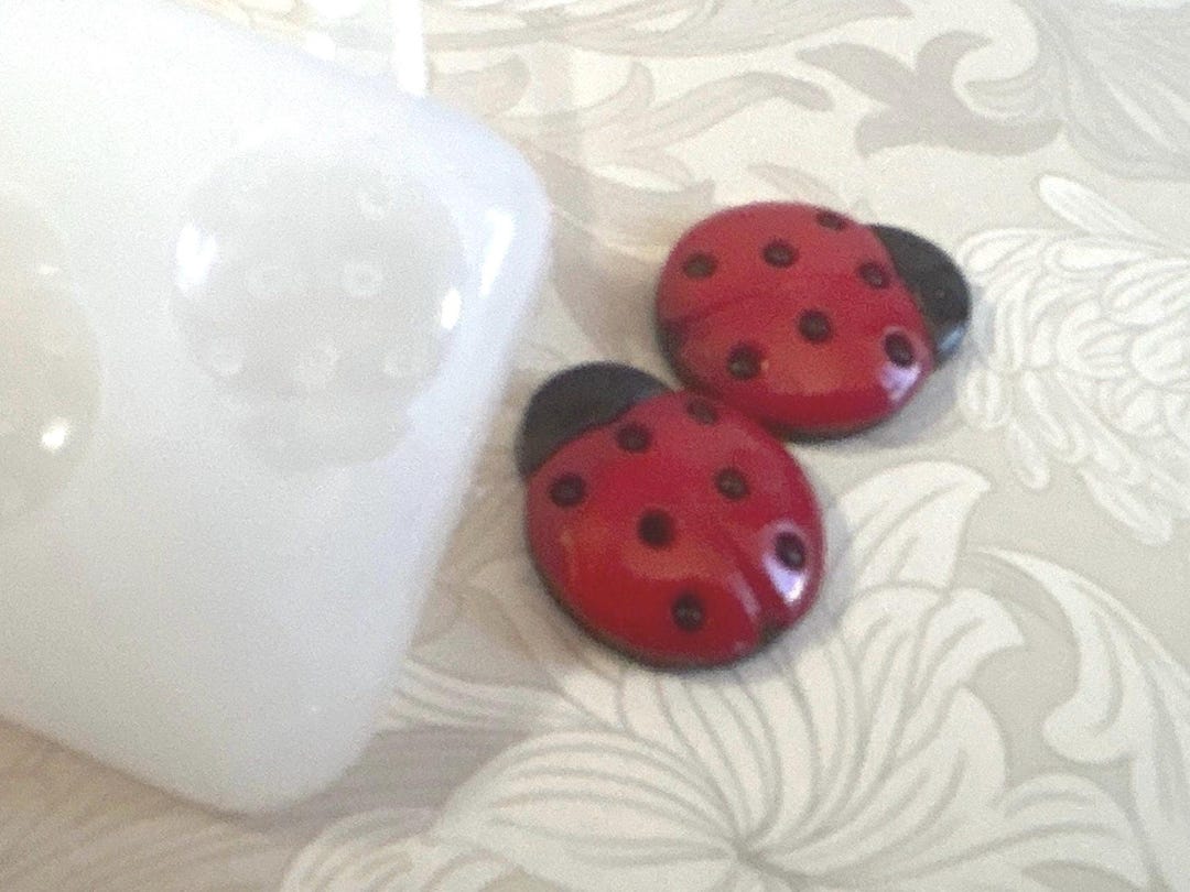 Ladybug Translucent Silicone Mold, Uv Resin, Insects, Bugs, Garden ...