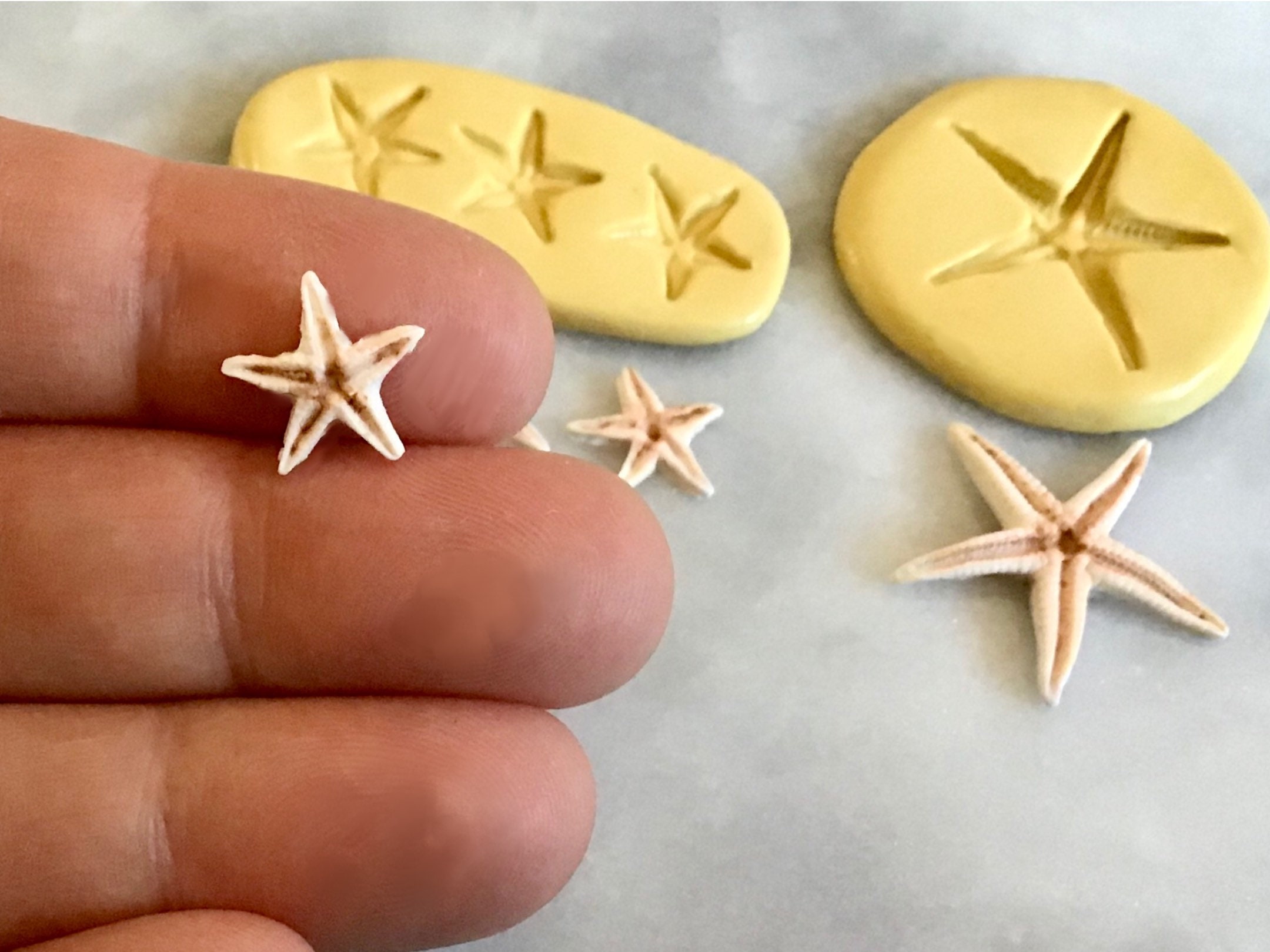 STARFISH MINIATURE Silicone Mold Sea Life Push Mold Cake - Etsy