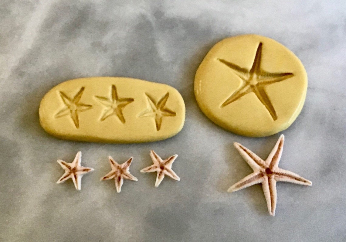 STARFISH MINIATURE Silicone Mold Sea Life Push Mold Cake - Etsy