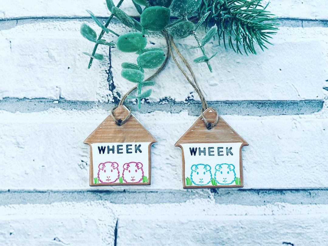 Guinea Pig Decoration Guinea Pig House Tag Clay Tag Rustic - Etsy