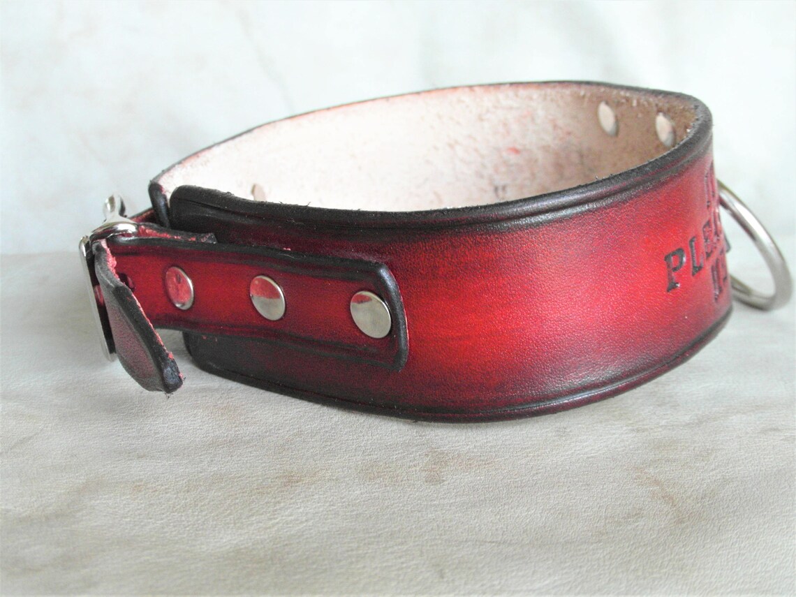 Flash Sale Bdsm Submissive Collar It Pleases Me Collar Ddlg Etsy