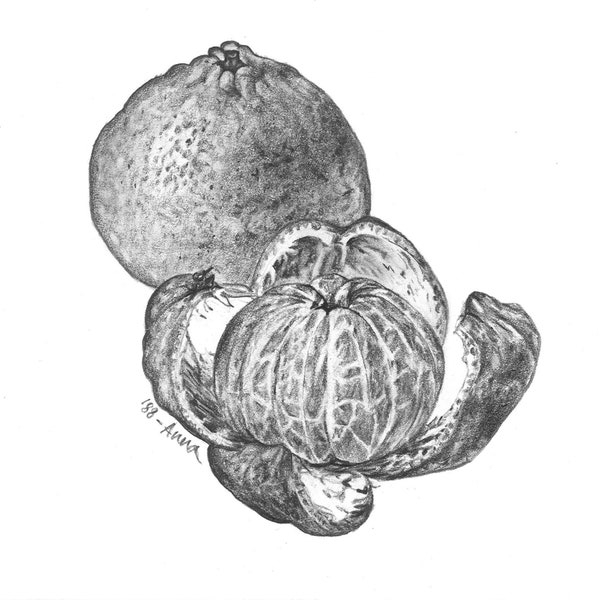 Hyperrealistic Pencil Art - Etsy