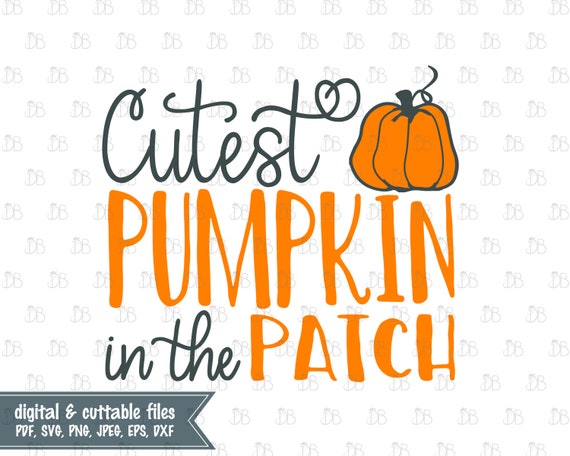 Cutest Pumpkin in the Patch Graphic Svg Cut File INSTANT - Etsy