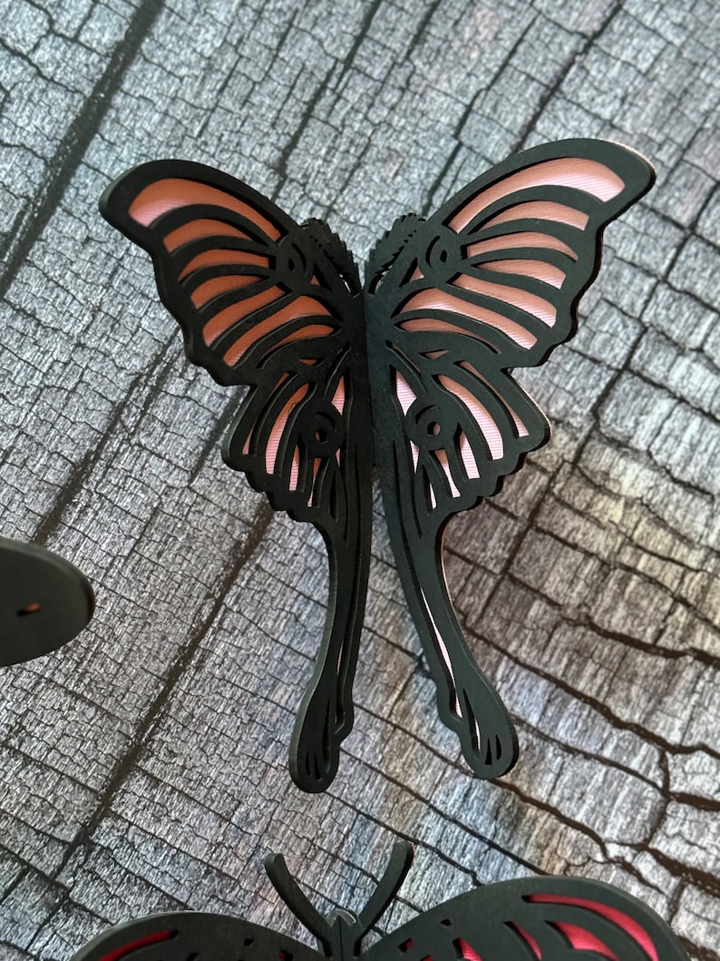 3D Moths SVG Set of 3 Digital Download for Glowforge or Laser for 1/8 ...
