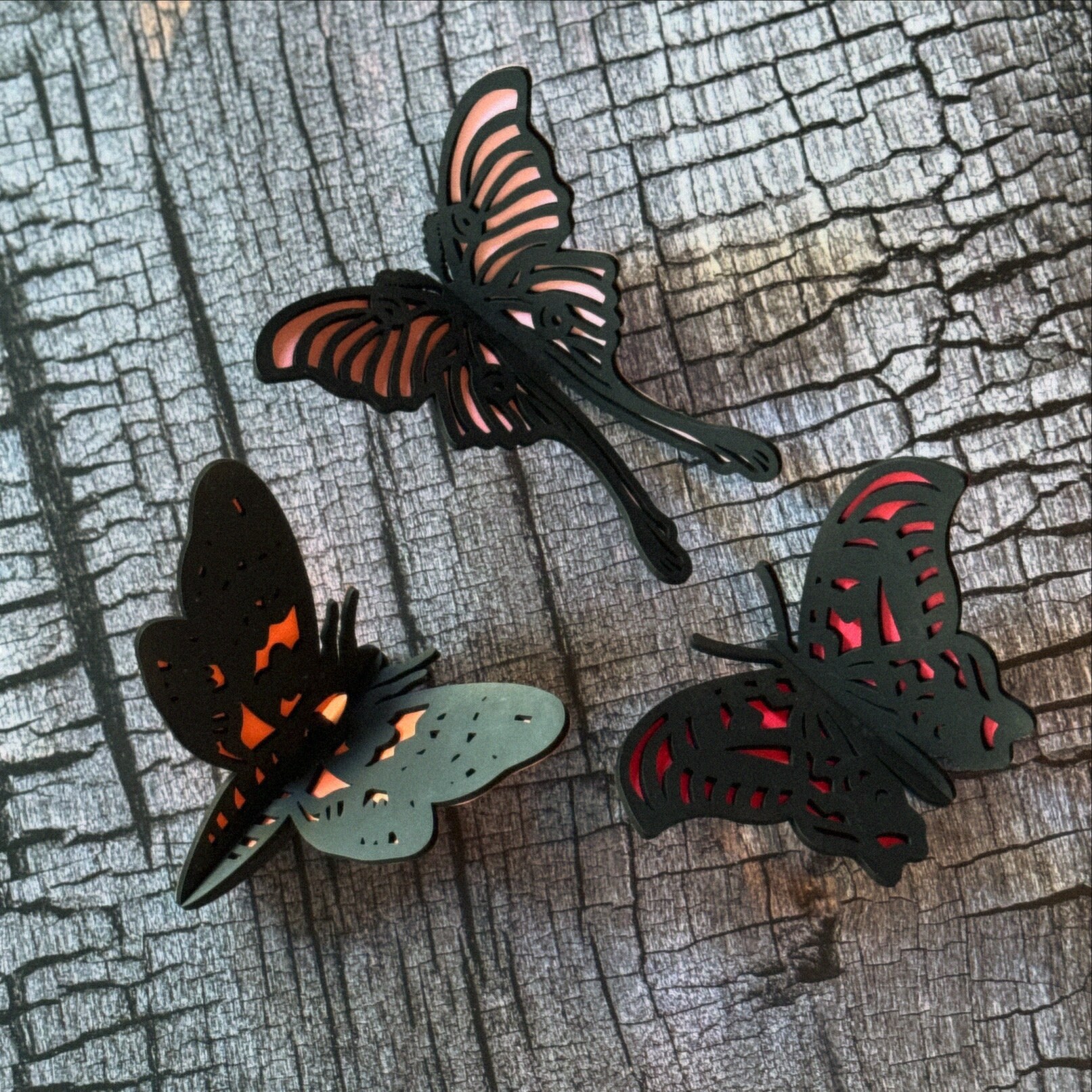 3D Moths SVG Set of 3 Digital Download for Glowforge or Laser for 1/8 ...