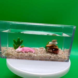 1:6 Scale Miniature Axolotls Dollhouse Amphibians-fashion Doll or Elf ...