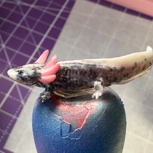 1:6 Scale Miniature Axolotls Dollhouse Amphibians-fashion Doll or Elf ...