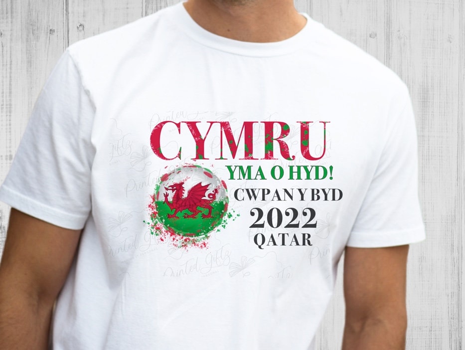 WALES WORLD CUP T-shirt | Welsh World Cup T-shirt | Men's Welsh T-shirt ...