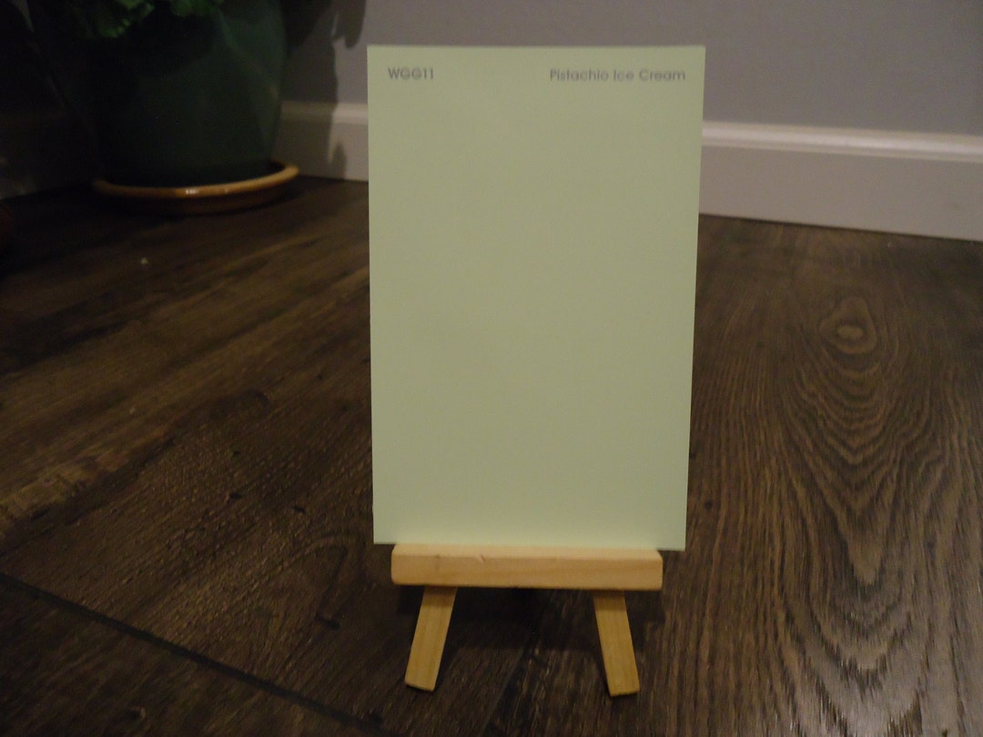 Pistachio Ice Cream Paint Chip Notebook MADE TO ORDER - Etsy