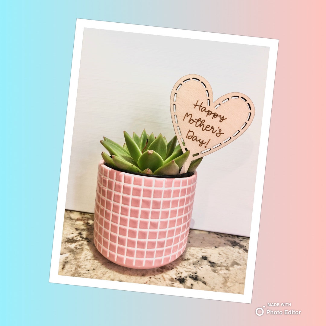 Personalized Wooden Planter Tag Valentines Day Plant Tag Mothers Day ...