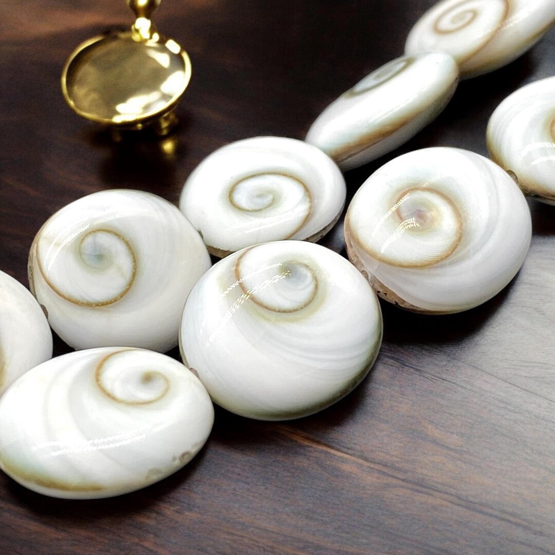 Double Shiva Eye Shell Beads (each Bead Hand Carved From Two Matching ...