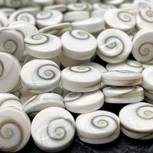 Double Shiva Eye Shell Beads From Pacific Ocean (each Bead Hand Carved ...