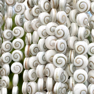 Double Shiva Eye Shell Beads From Pacific Ocean (each Bead Hand Carved ...