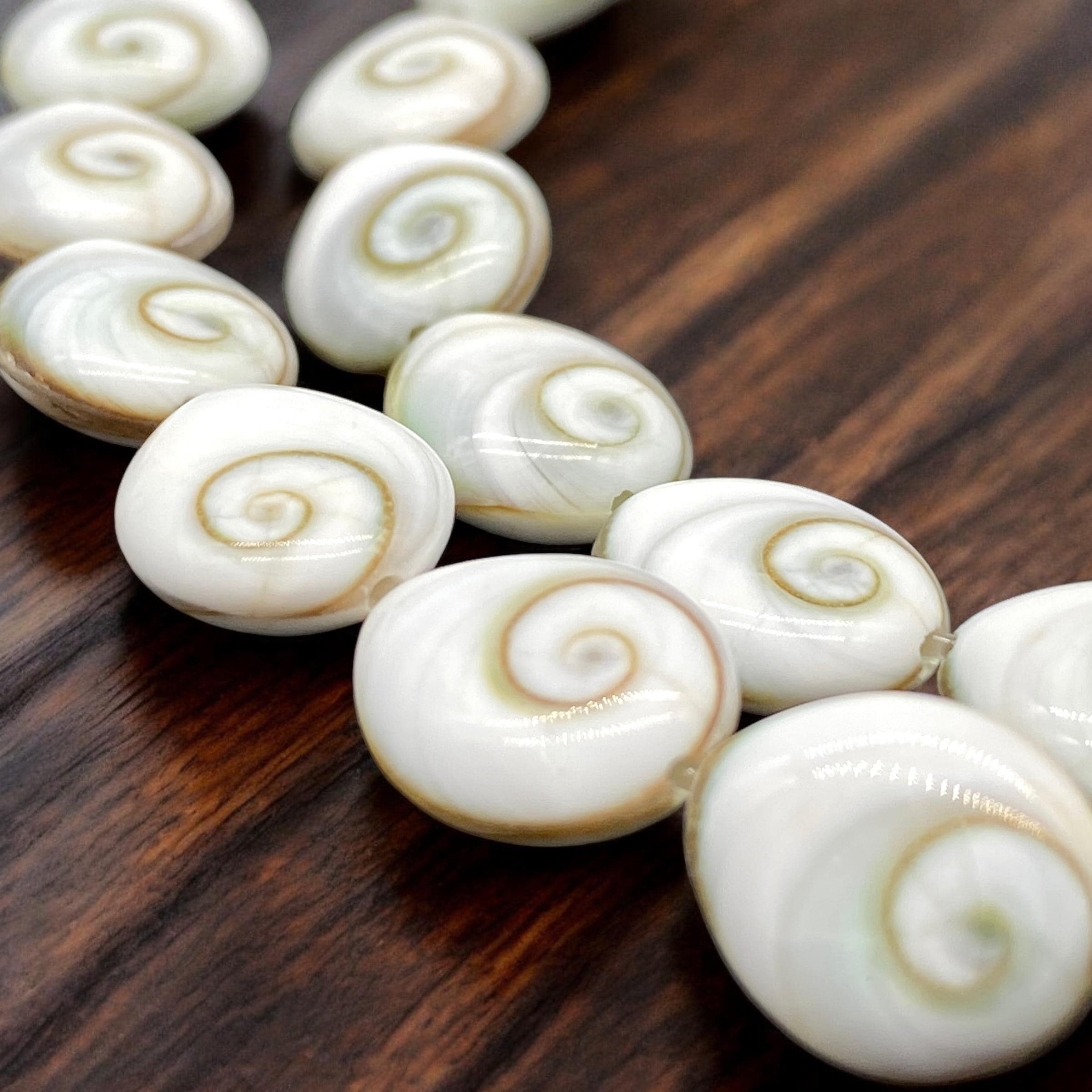 Double Shiva Eye Shell Beads (each Bead Hand Carved From 2 Matching ...