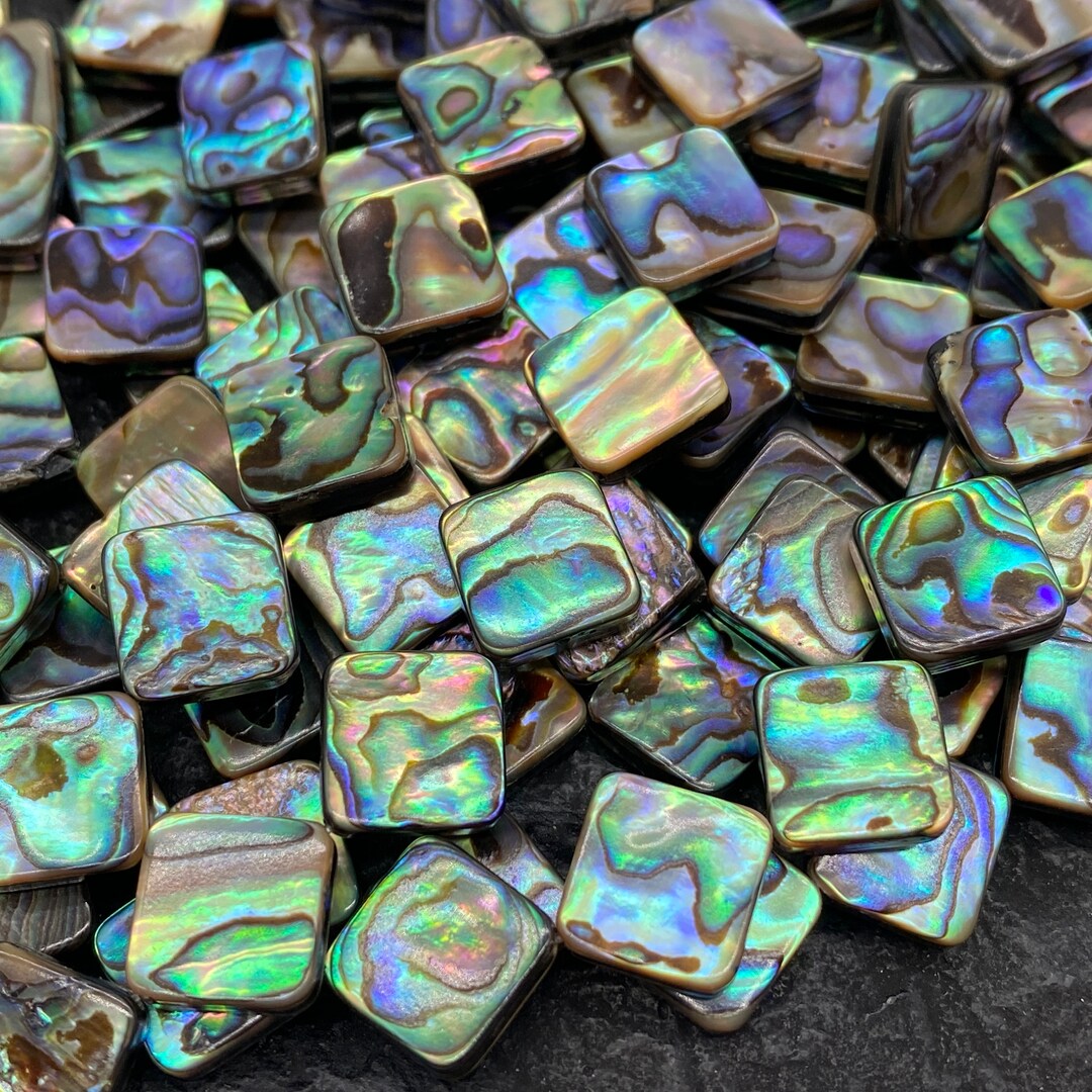 New Zealand Abalone Paua Shell Beads (thicker Nacre & Much Darker ...