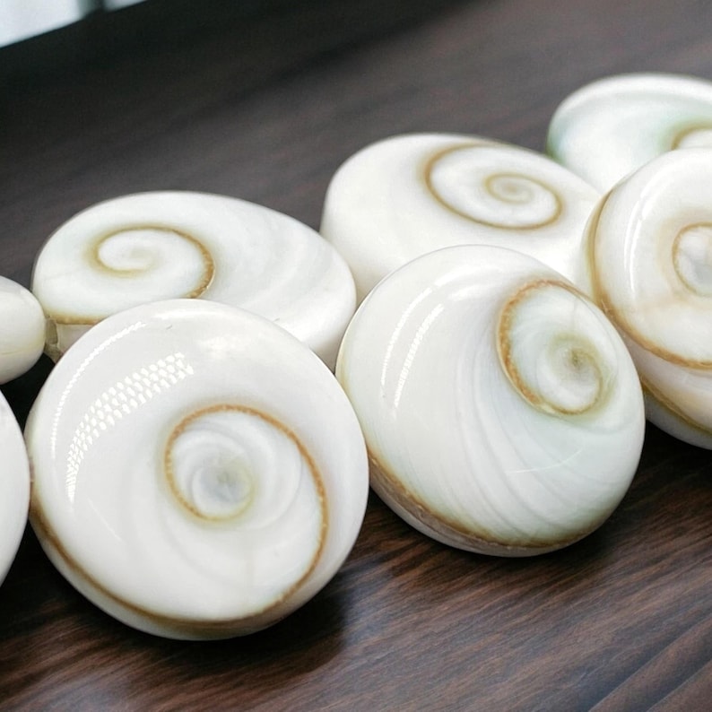 Double Shiva Eye Shell Beads (each Bead Hand Carved From Two Matching ...