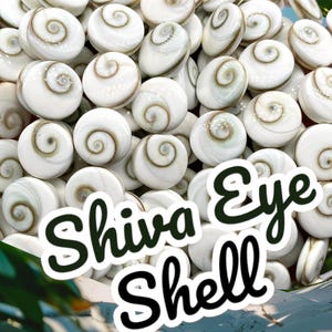 Premium-quality Shiva Eye Shell Beads every Single Bead Made From Two ...