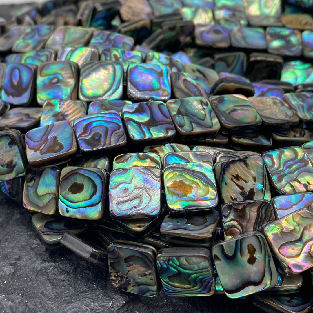 New Zealand Abalone Paua Shell Beads (thicker Nacre & Darkest ...