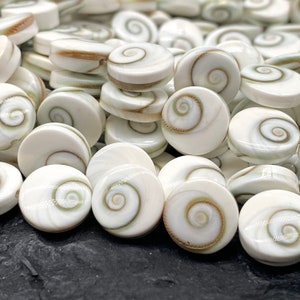 Double Shiva Eye Shell Beads From Pacific Ocean (each Bead Hand Carved ...