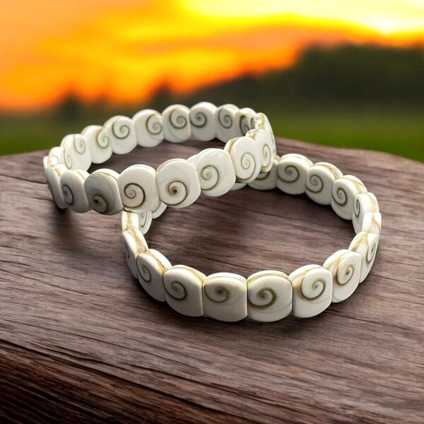 Operculum Shell - Etsy