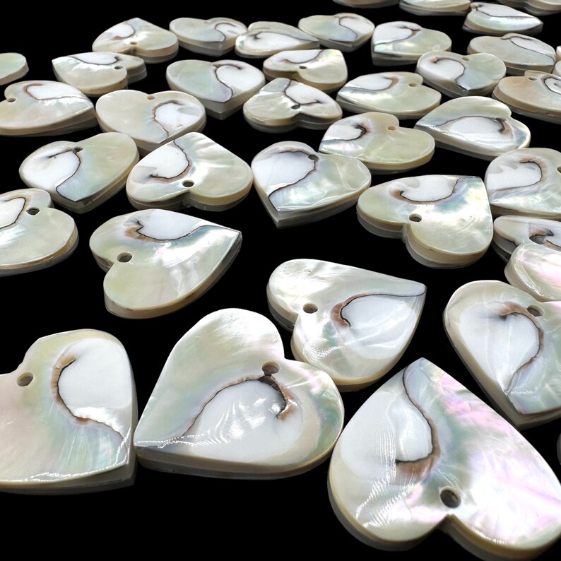 Authentic Mermaid Nautilus Shell Beads - Harmony Line (thicker Nacre ...