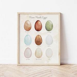Chicken Egg Colors Watercolor Art. Farmhouse Decor. Farmhouse Wall Art ...